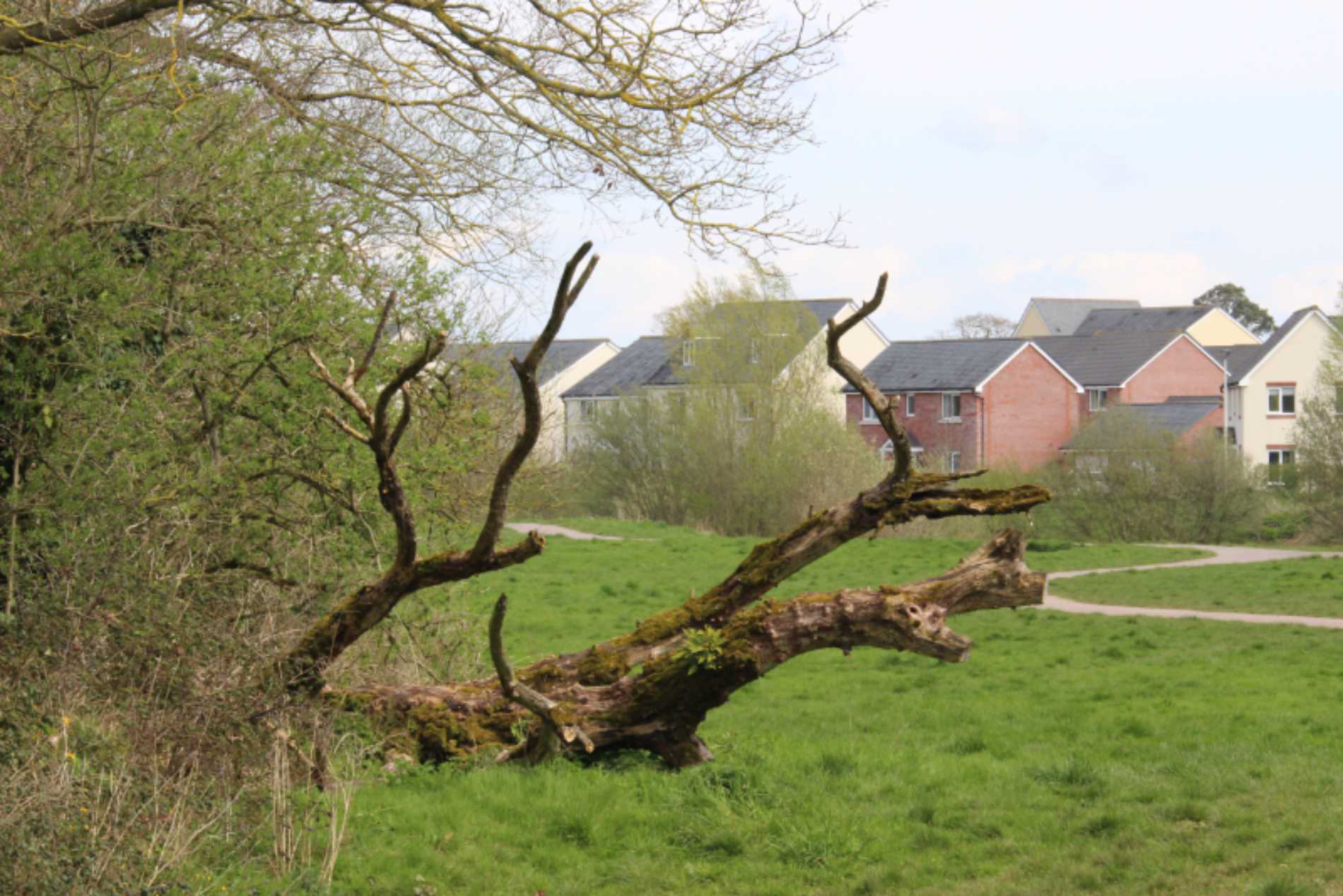 Lean Mean Green Recycling Machine? - Vince In Cranbrook